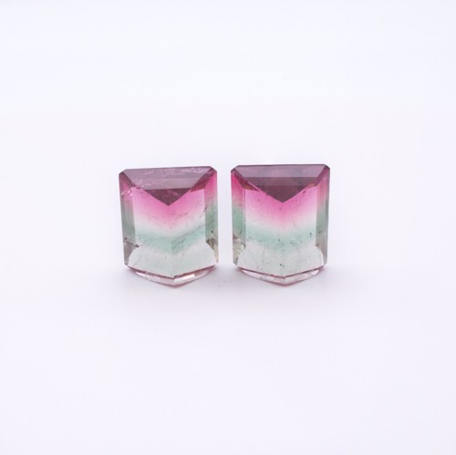 17x14mm Parti-colored Watermelon Tourmaline Pair – Puvah